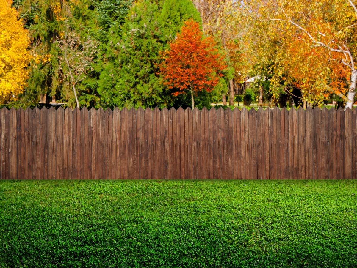 Preparing Your Yard for Winter With Fall Fence Replacement - Greenhil ...